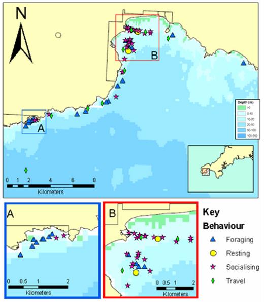 Research - Penzance, Cornwall | Marine Disconvery
