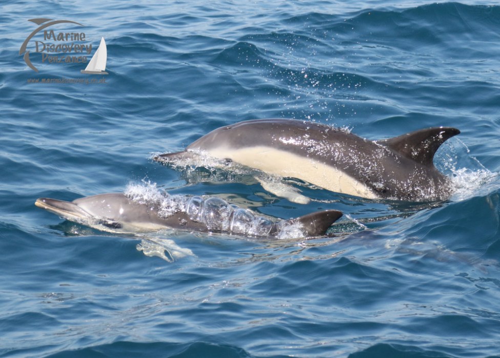 Monday 20th May | Marinediscovery