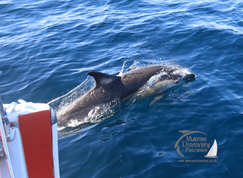 Thursday 17th April | Marinediscovery